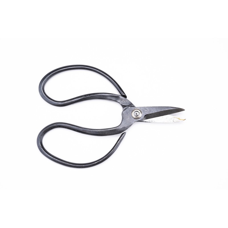 Root Scissor - Amateur Quality